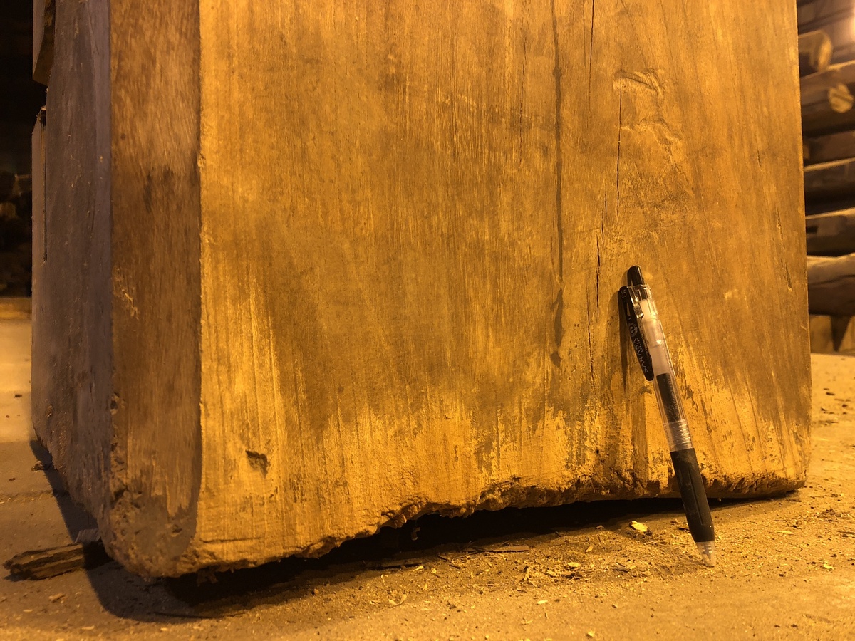 今日の古木 #19「大町最大級!? 極太ケヤキの大黒柱」 | KOBOKU通信web｜古木・古材・古民家のカルチャーwebマガジン